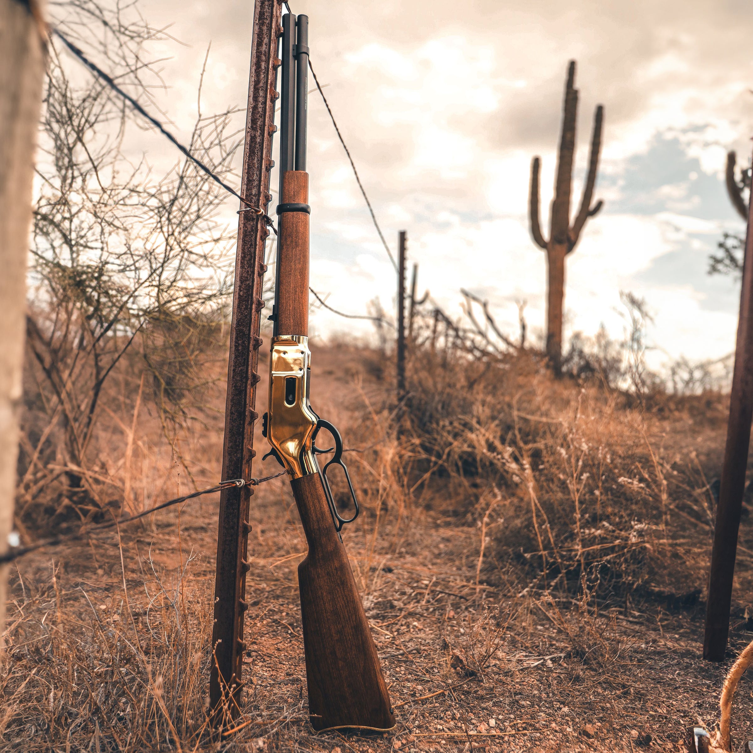 Barra Airguns | Gold CO2 1866 .22 Lever Pellet Rifle | Western Style